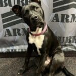 Bubba – Bubba Army HQ